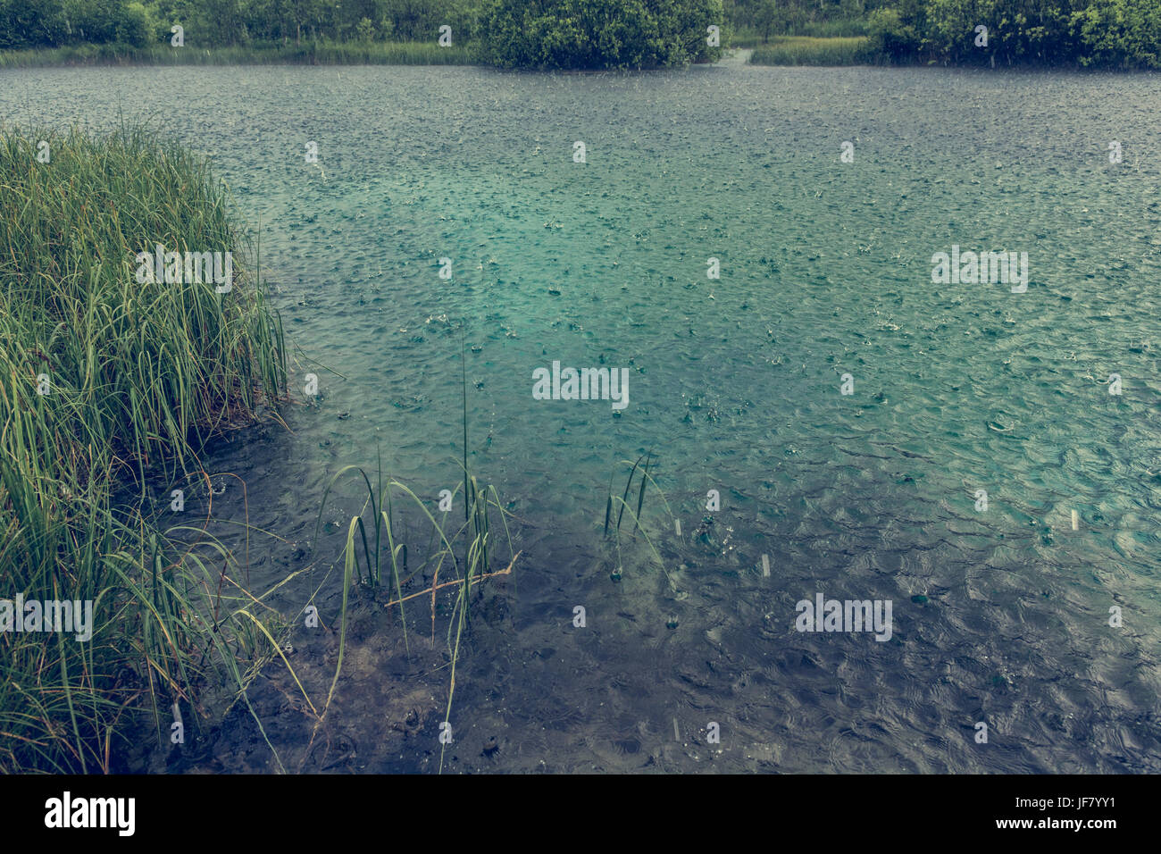 Rain drops on lake surface Stock Photo - Alamy