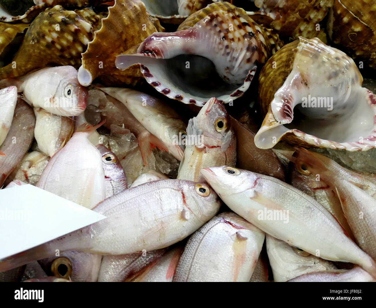 Fish in the market to sell Stock Photo - Alamy