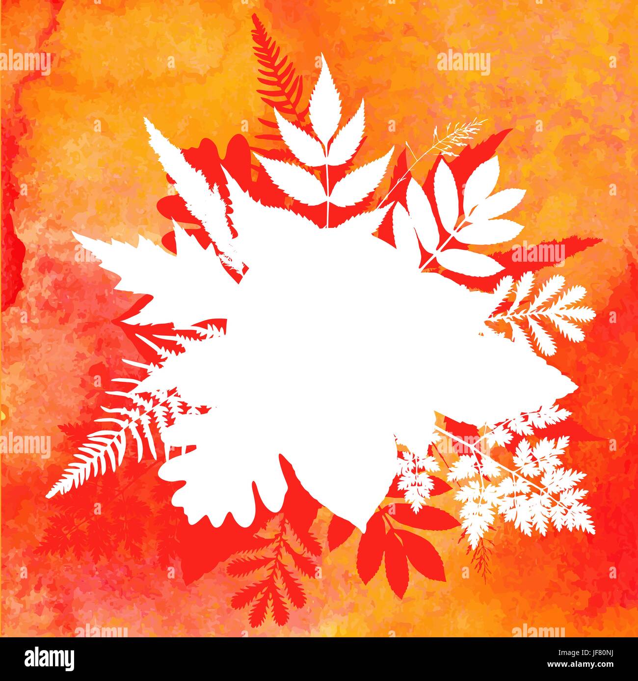 beautiful, beauteously, nice, leaf, art, isolated, colour, model ...