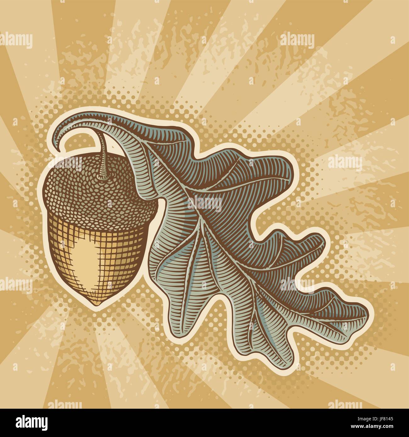 leaf, oak, retro, acorn, backdrop, background, plant, nature, leaf ...