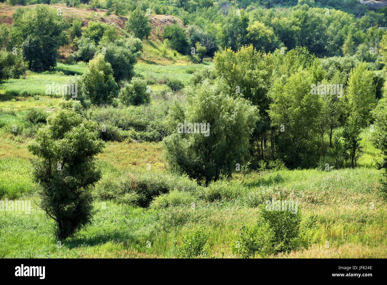 hilly scenic landscape Stock Photo - Alamy