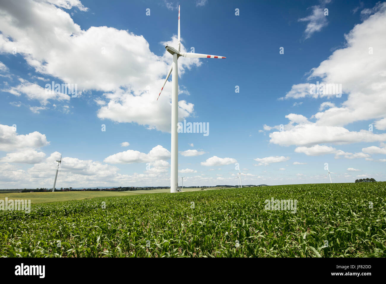 Renewable energy. Farm of wind turbines on the corn field Stock Photo ...