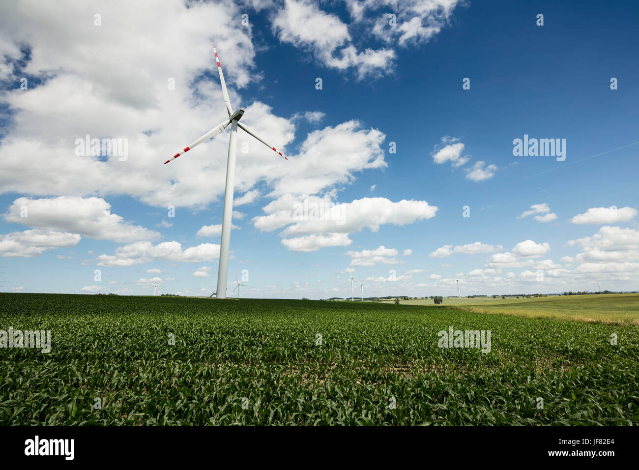 Renewable energy. Farm of wind turbines on the corn field Stock Photo ...