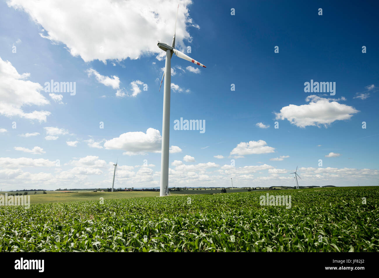 Renewable energy. Farm of wind turbines on the corn field Stock Photo ...