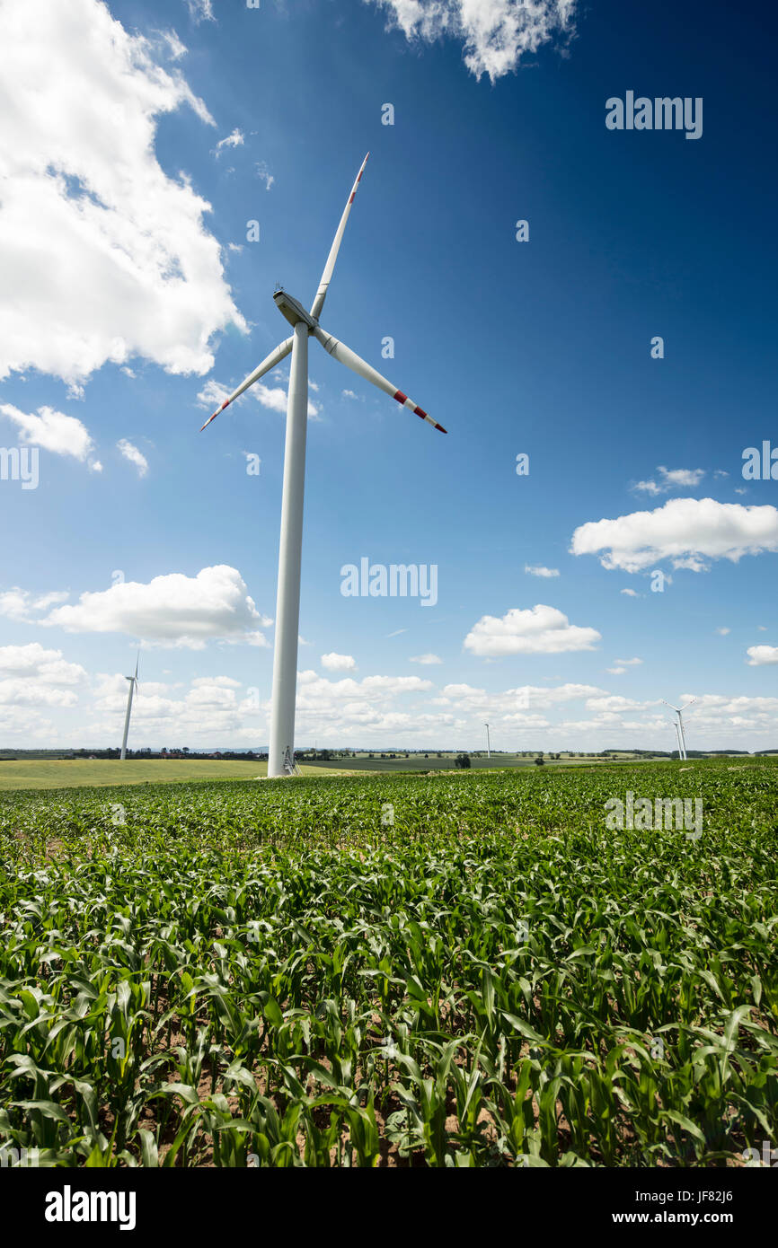 Renewable energy. Farm of wind turbines on the corn field Stock Photo ...