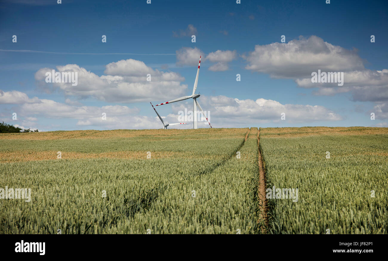 Renewable energy. Farm of wind turbines on the corn field Stock Photo ...