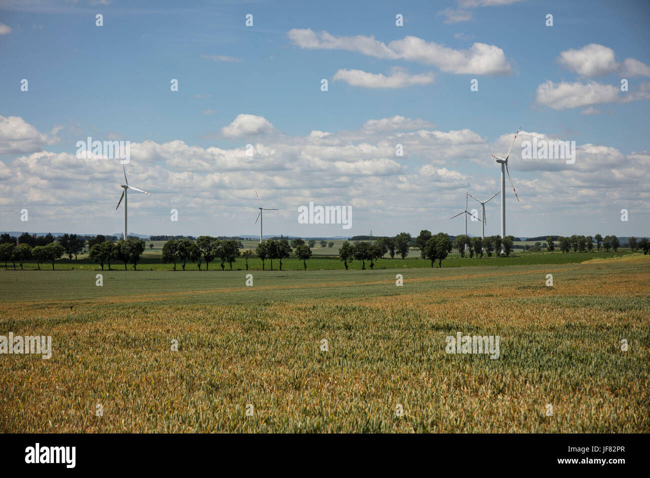 Renewable energy. Farm of wind turbines on the corn field Stock Photo ...
