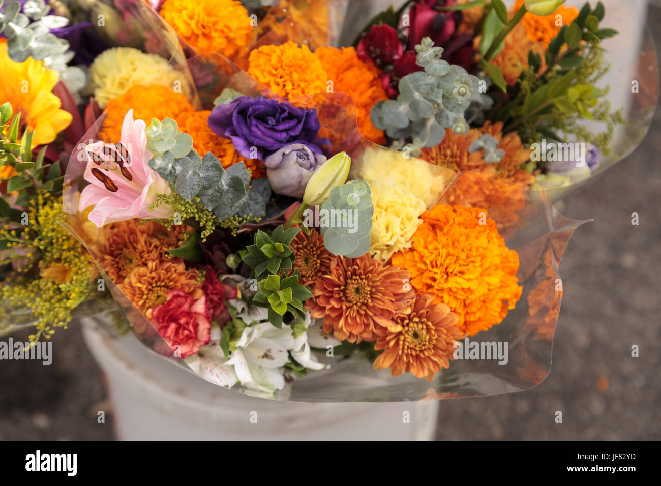 Colorful flowers grown on a farm Stock Photo - Alamy