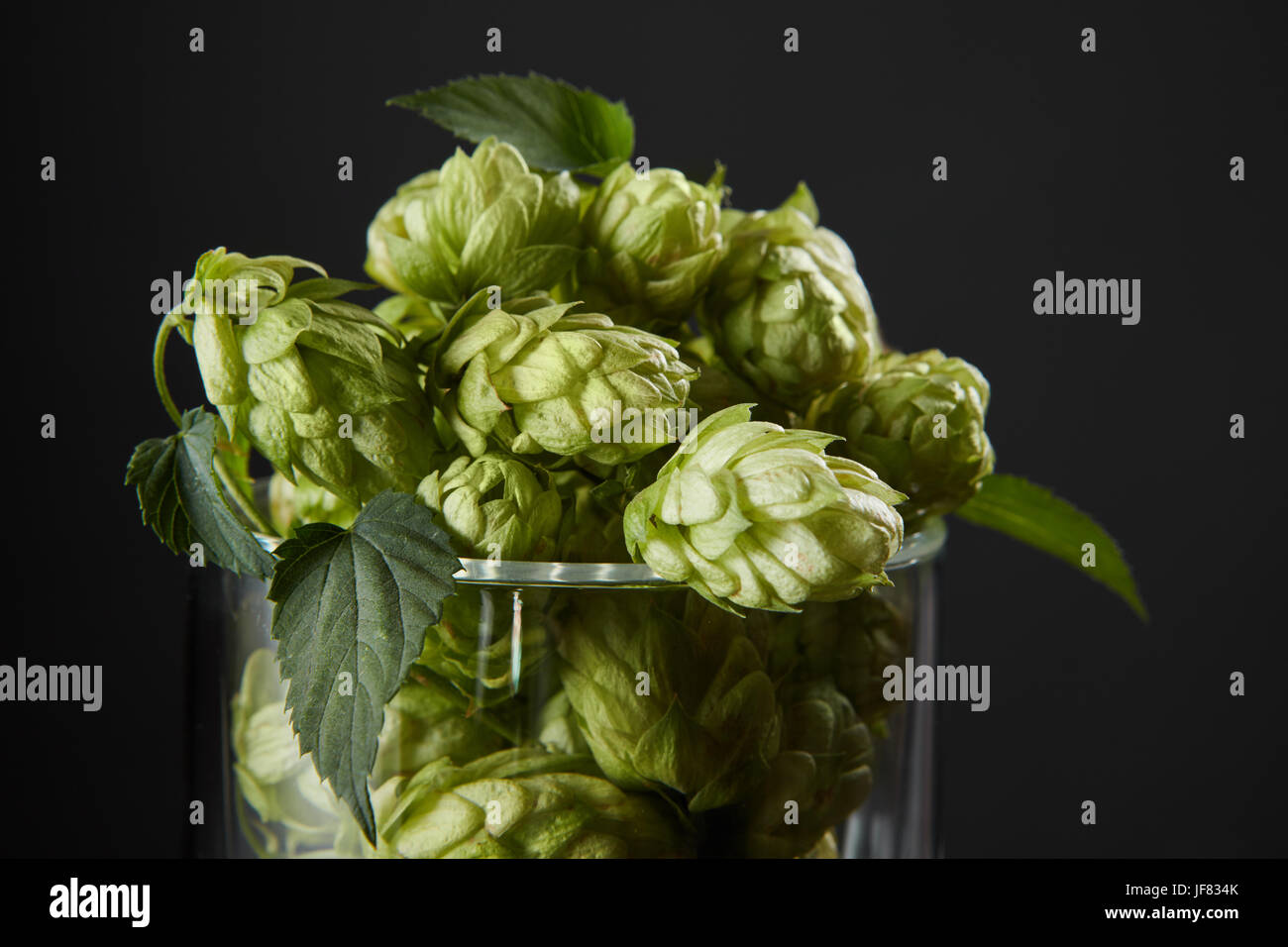 hops in a beer glass Stock Photo - Alamy