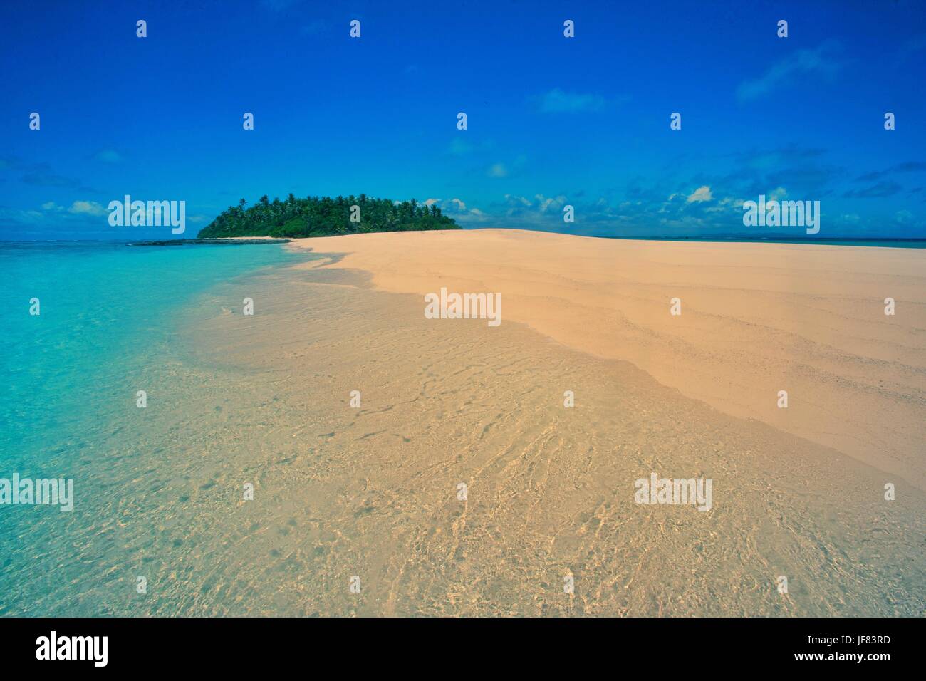 Red-footed Booby (Sula sula), Fiji Islands, Oceania Stock Photo - Alamy