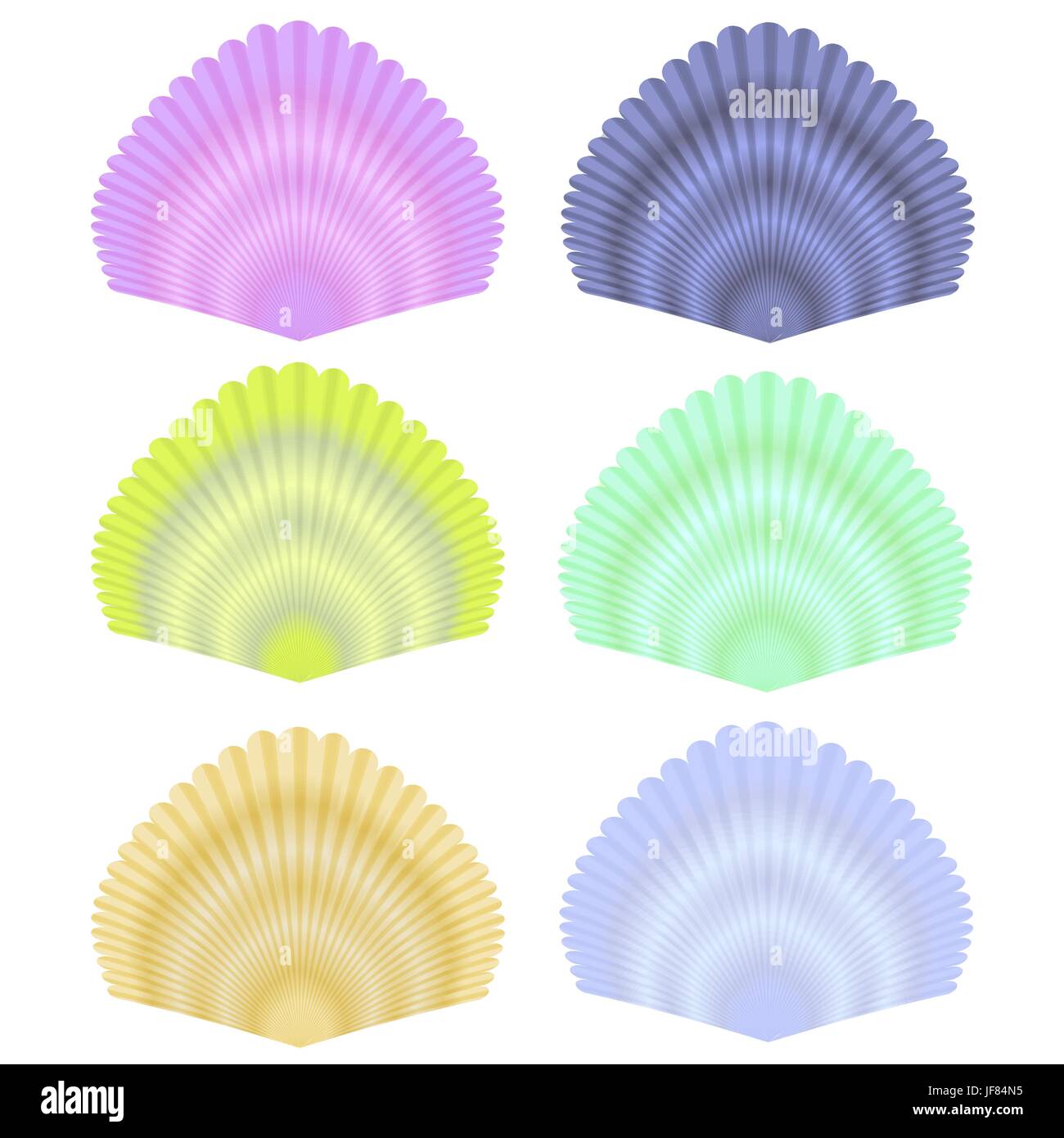 White textured shell on Stock Vector Images - Alamy
