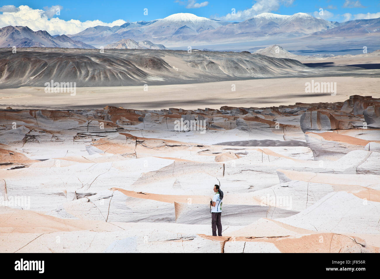 Puna desert hi-res stock photography and images - Alamy