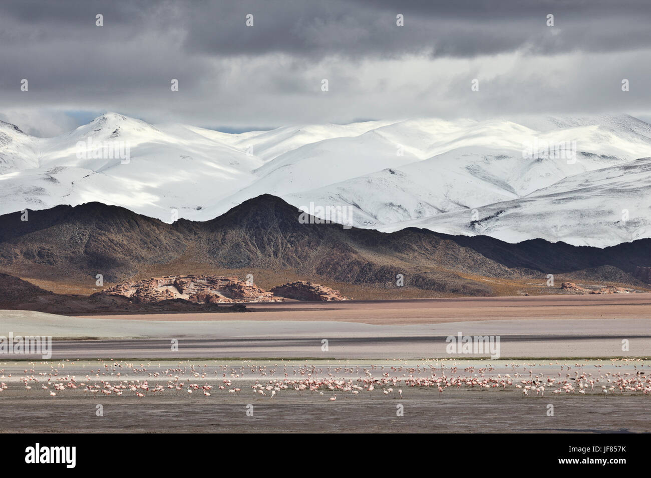 Cerro galan hi-res stock photography and images - Alamy