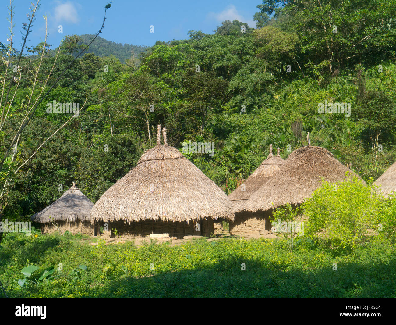 The trek to the Lost City, Sierra Nevada, Colombia, indigenous Kogi ...