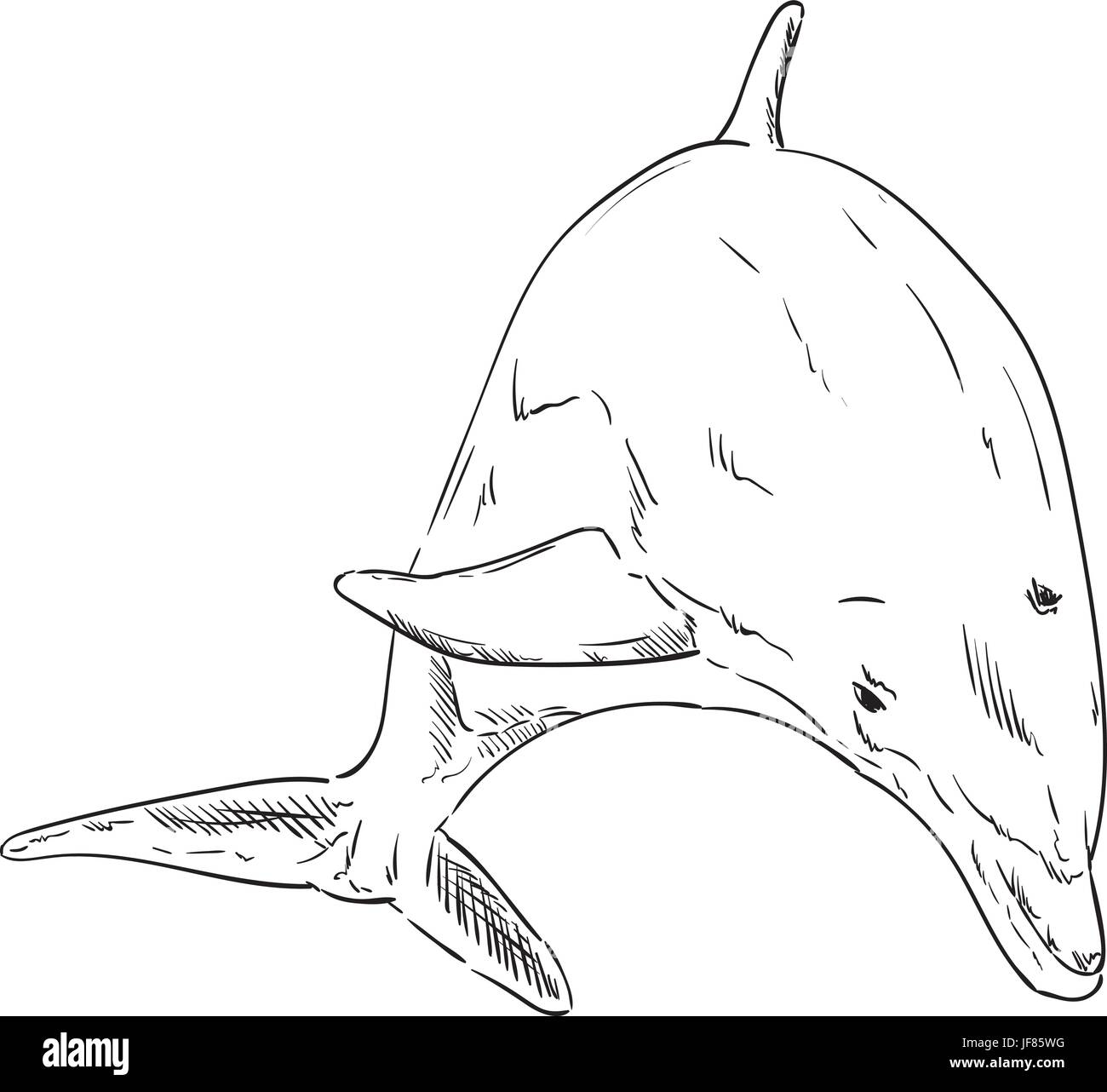 Cartoon delfin hi-res stock photography and images - Alamy