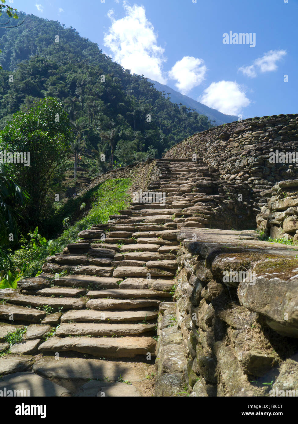 The Lost City, Sierra Nevada, Colombia, steps between terraces Stock ...