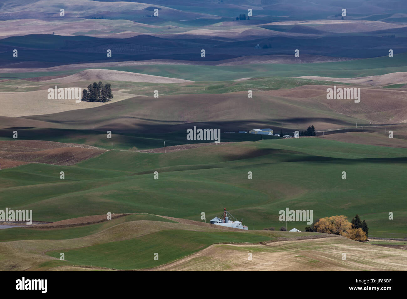 Colorful farmland of the Palouse region of Eastern Washington Stock ...