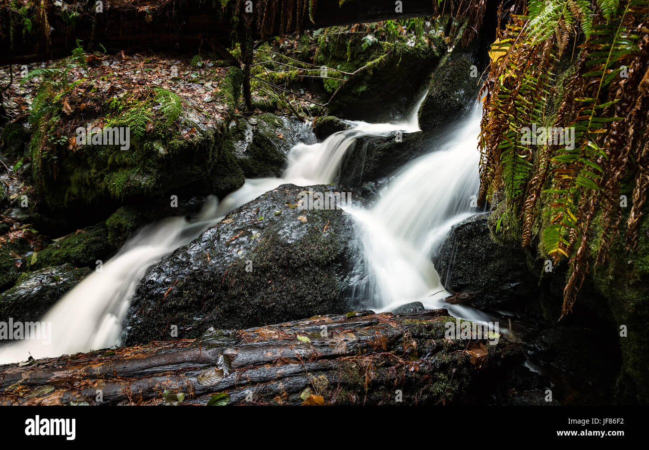 Forest river waterfall small in hi-res stock photography and images - Alamy