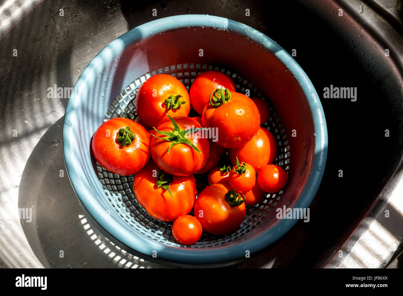 Ripe tomatoes just washed in a colander Stock Photo - Alamy