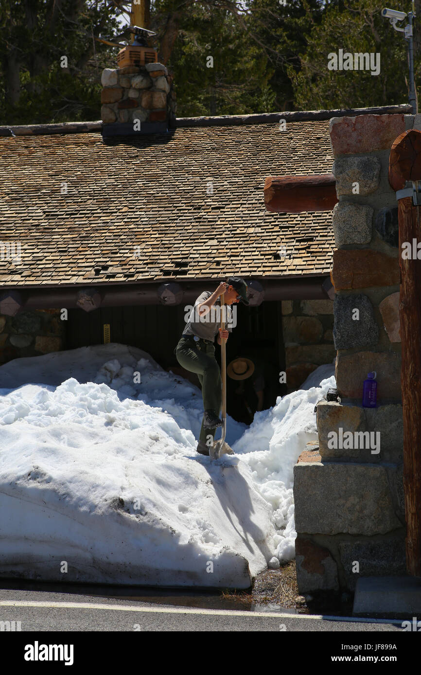 Yosemite rangers dig out the entrance to the rangers cabin at the east ...