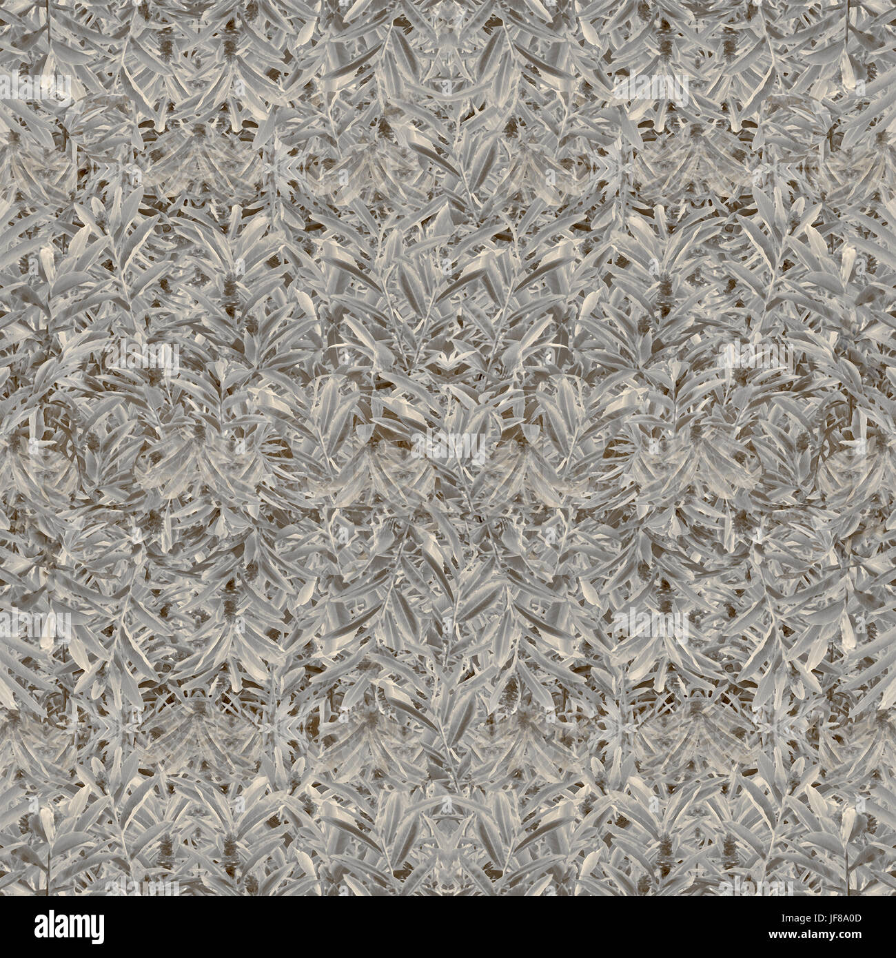 Nature Intricate Leaves Motif Pattern Stock Photo - Alamy