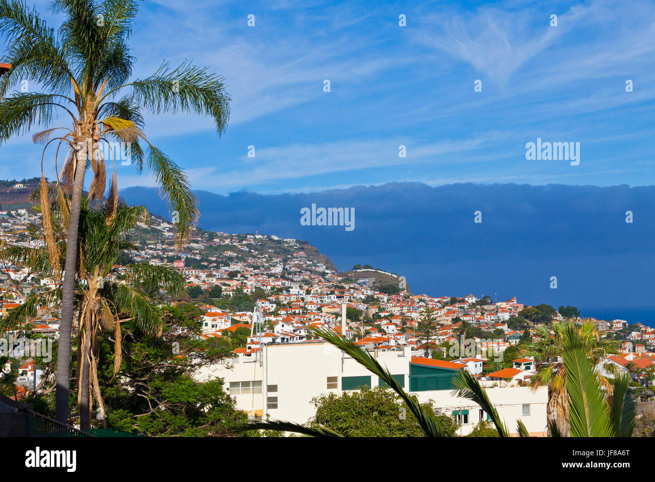 Aerial scenic view of buildings in Funchal city, Madeira island ...