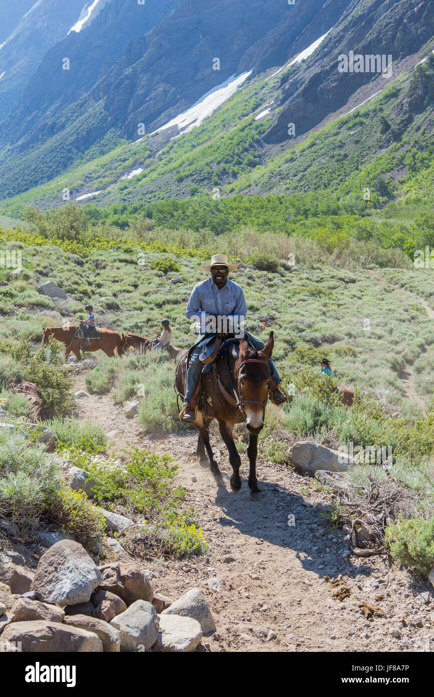 Cowboy riding horse pack horse hi-res stock photography and images - Alamy