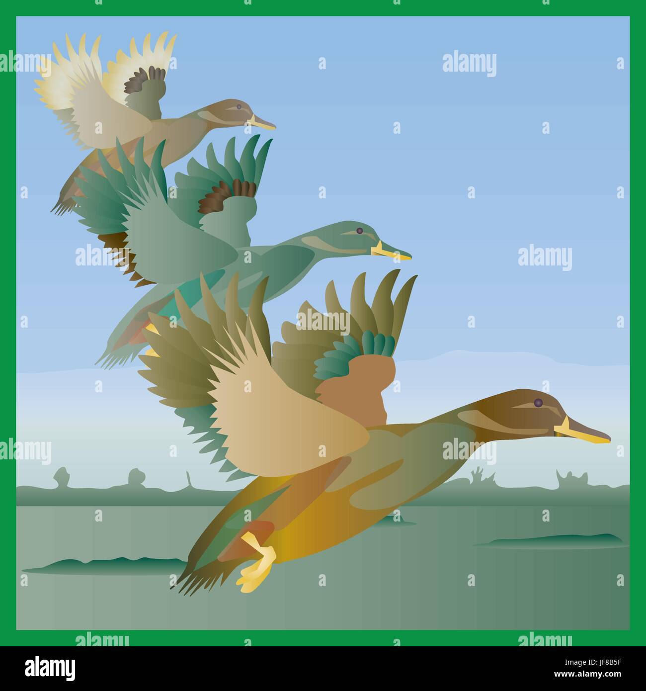 Three flying duck illustration hi-res stock photography and images - Alamy