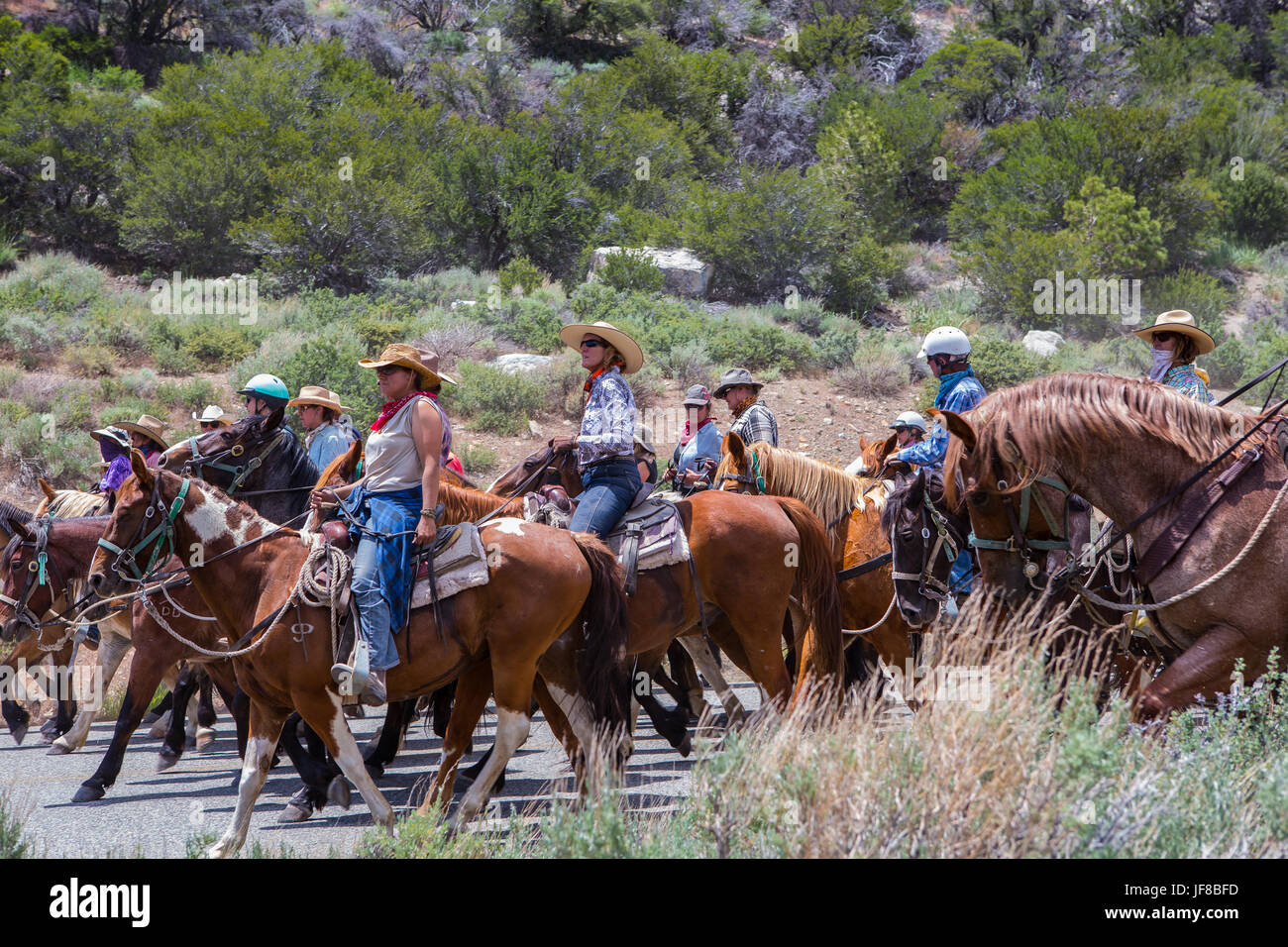 Frontier pack train hi-res stock photography and images - Alamy