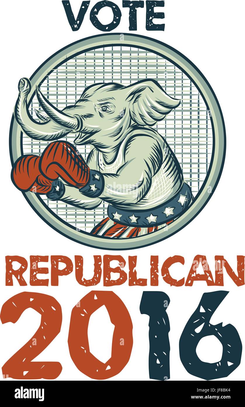 Elephant boxer boxing hi-res stock photography and images - Alamy