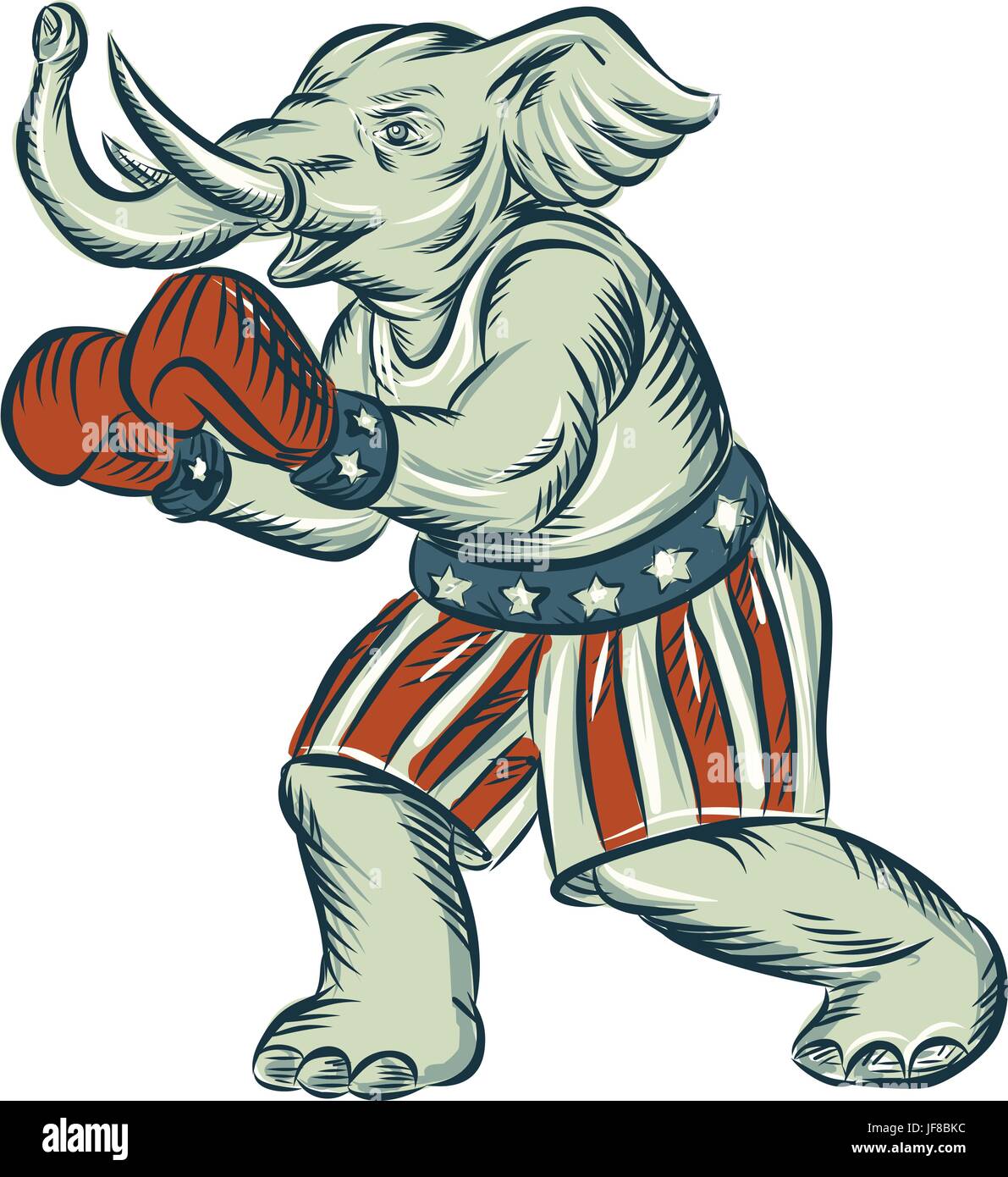 Republican Elephant Boxer Mascot Isolated Etching Stock Vector Image ...
