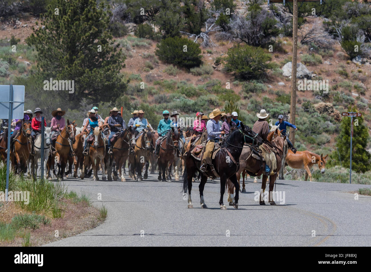 Frontier pack train hi-res stock photography and images - Alamy