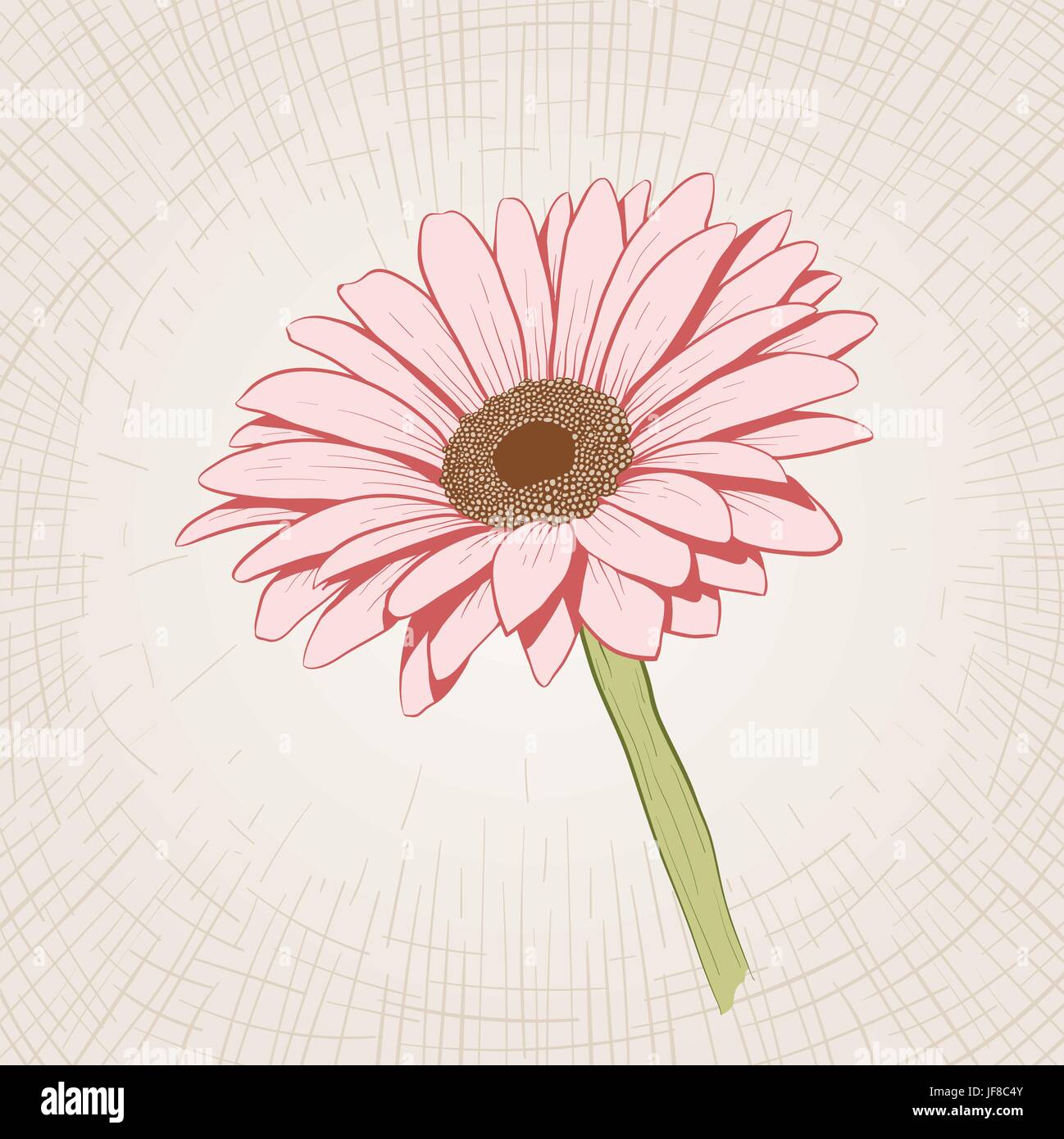 Hand Drawn Flower Stock Vector Image & Art - Alamy