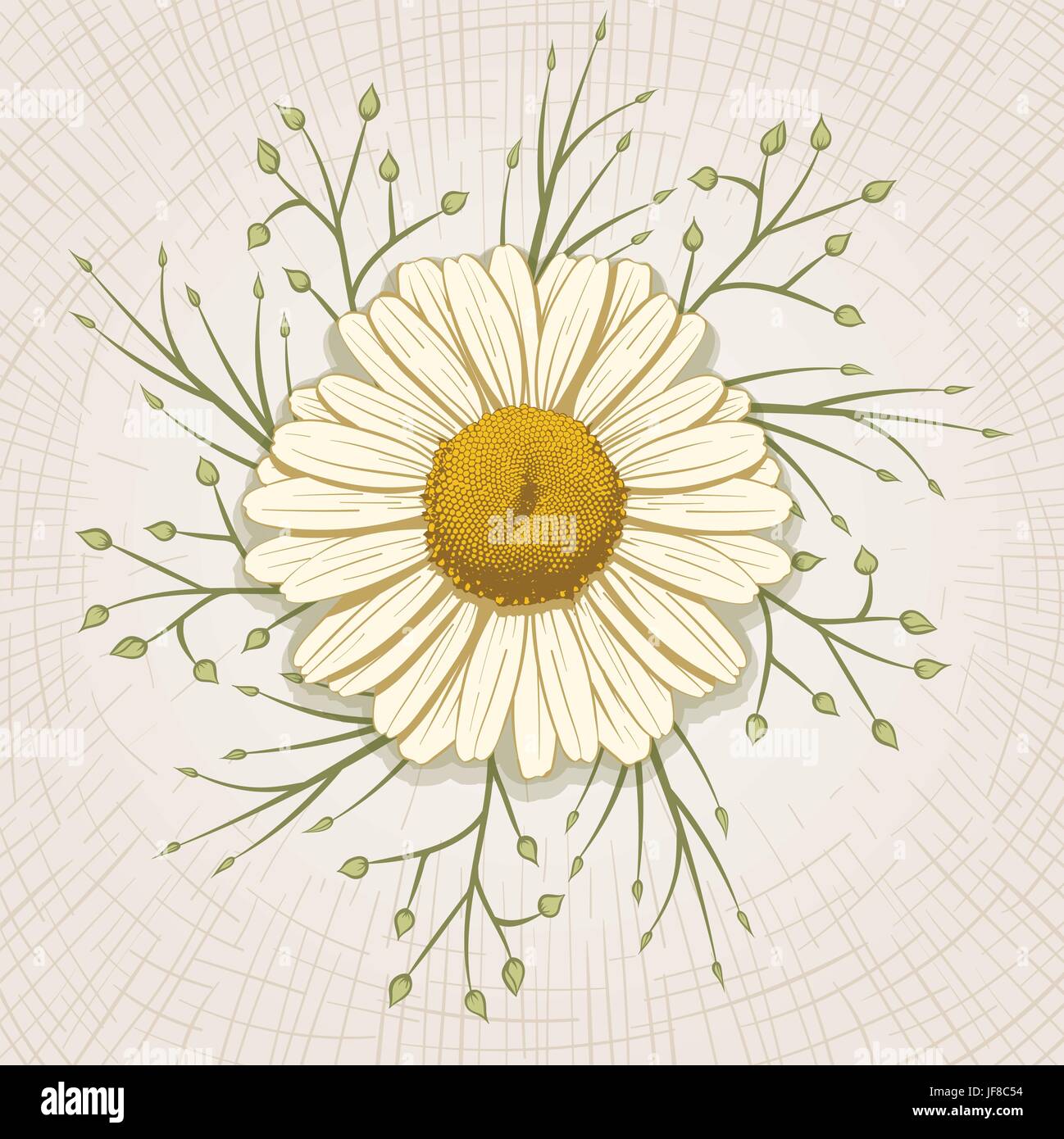 Highly detailed flower photo hi-res stock photography and images - Alamy