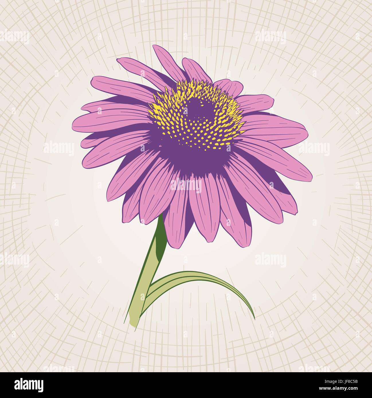 Highly detailed flower photo hi-res stock photography and images - Alamy