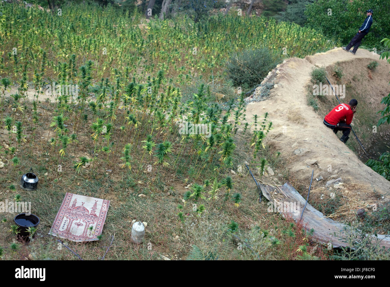 Ketama hi-res stock photography and images - Alamy