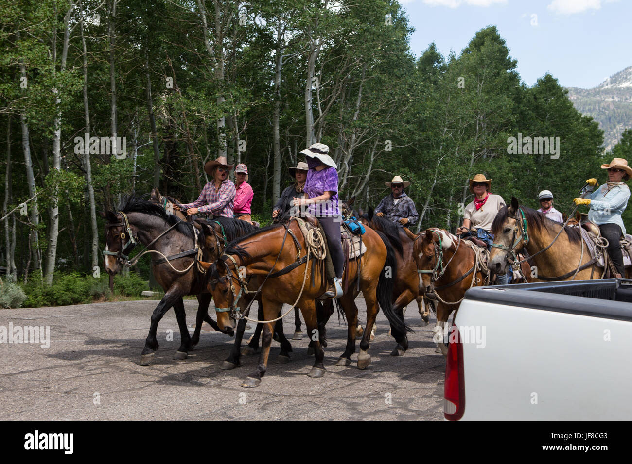 Cowboys cowgirls and wranglers of frontier pack train herd their horses ...