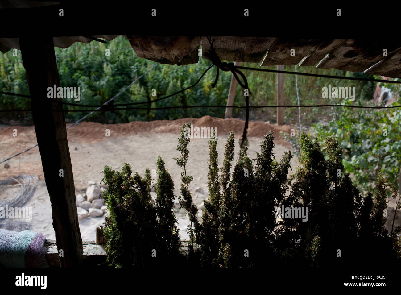 Ketama morocco hi-res stock photography and images - Alamy