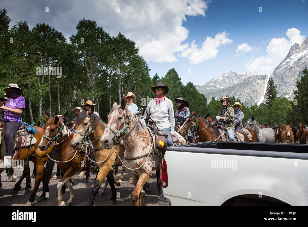 Cowboys herding horses hi-res stock photography and images - Alamy
