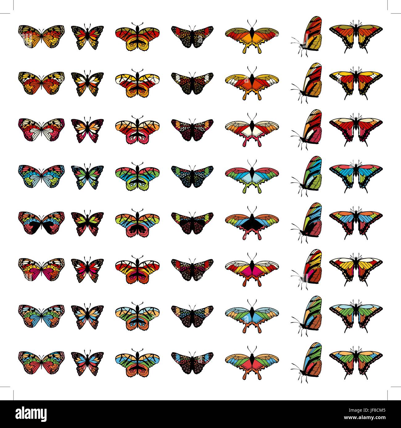 Beautiful butterfly photo Stock Vector Images - Alamy