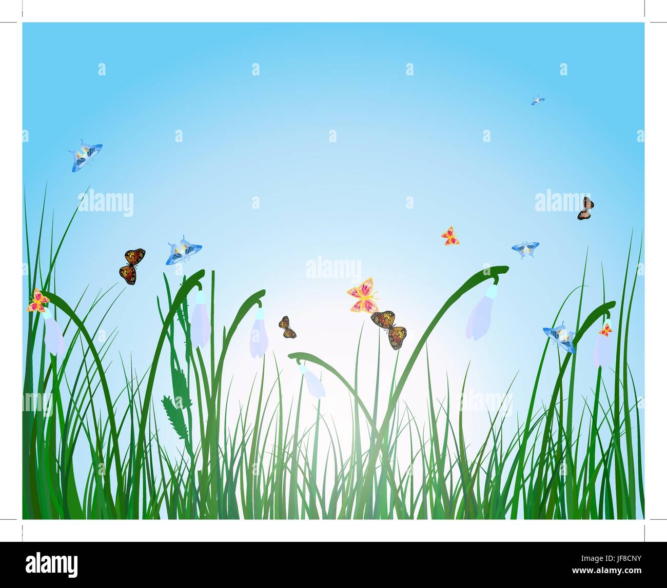 Meadow landscape in summer Stock Vector Images - Alamy