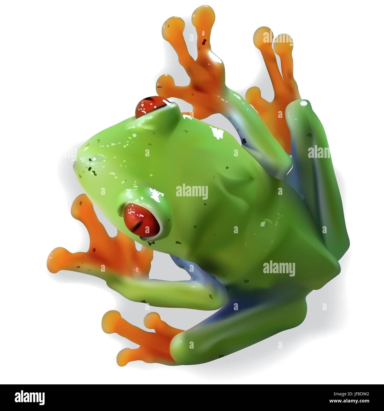 Close up on frog Stock Vector Images - Alamy