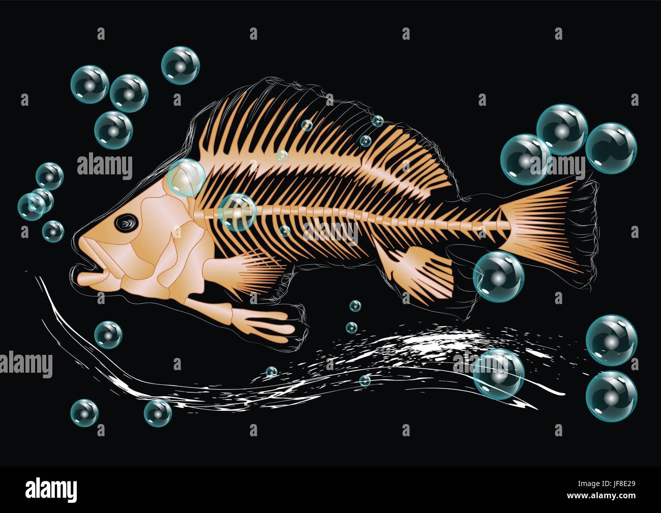 fish skeleton and bubbles Stock Vector Image & Art - Alamy