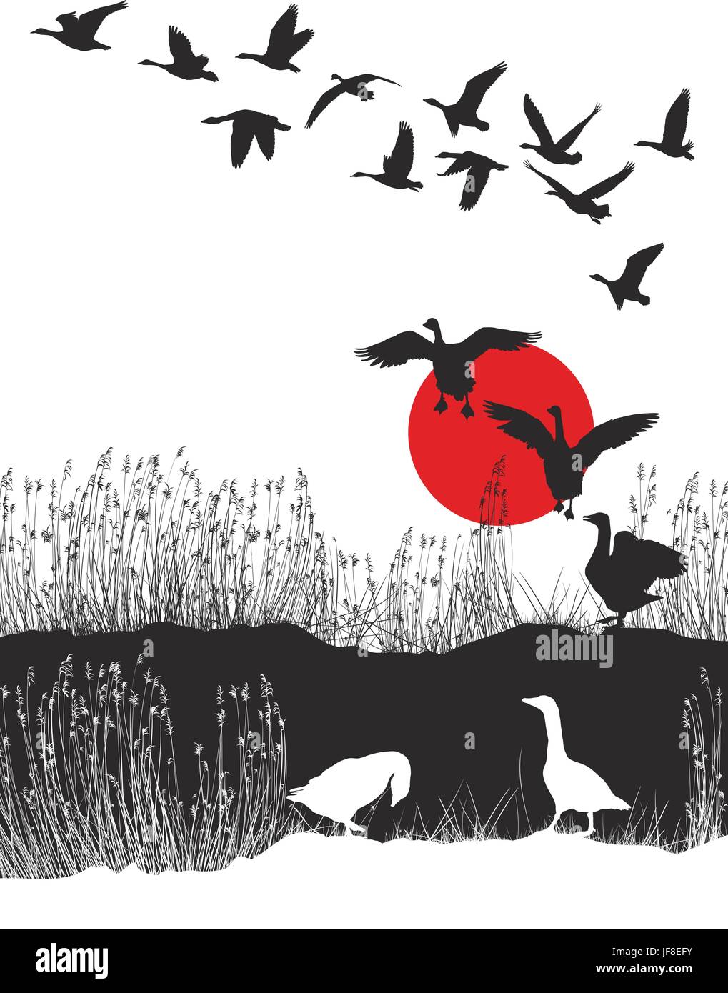 Migrating flock of birds Stock Vector Images - Alamy