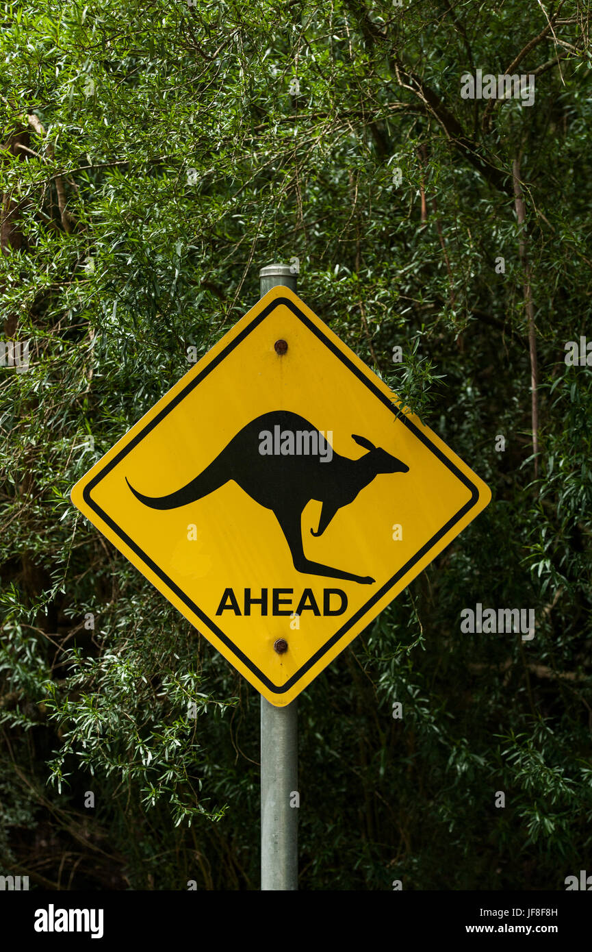 Australian kangaroo signpost hi-res stock photography and images - Alamy