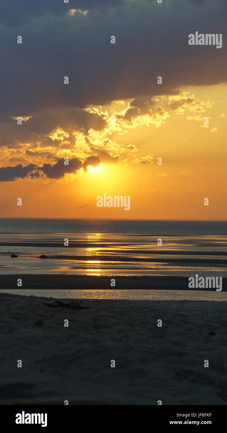 random pictures i took on the beach. Perfect for a frame on the wall ...