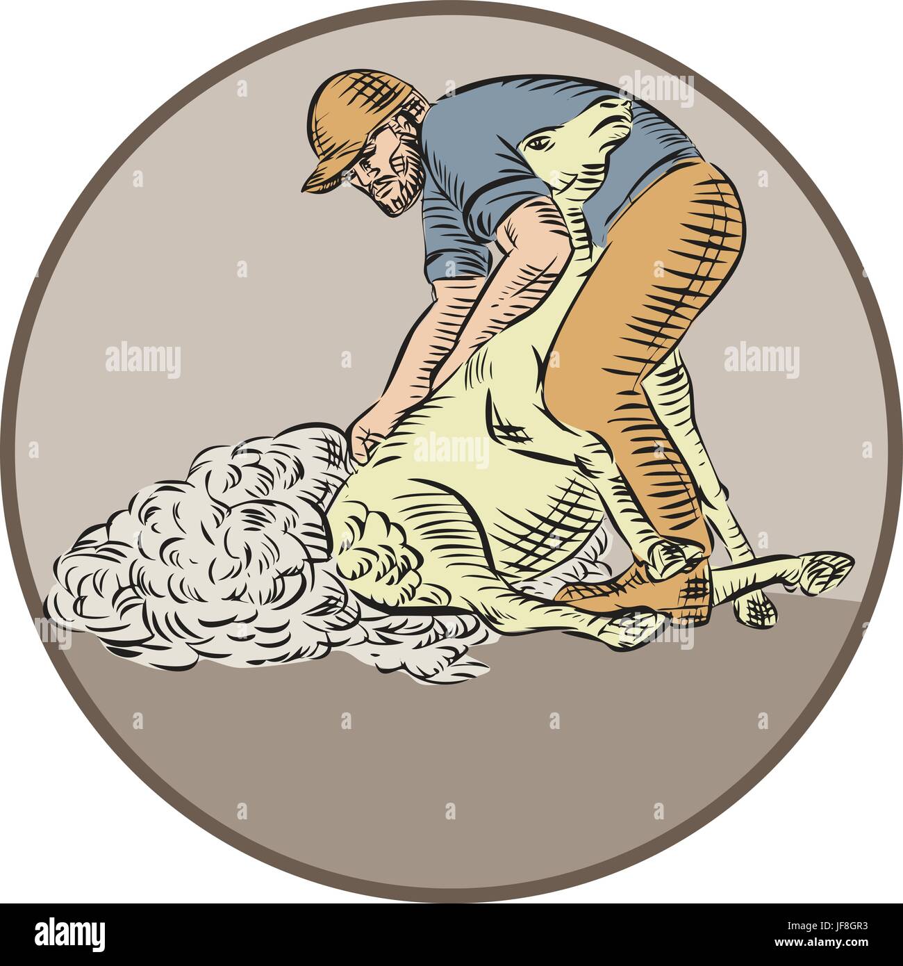 Farmworker Shearing Sheep Circle Etching Stock Vector Image & Art - Alamy