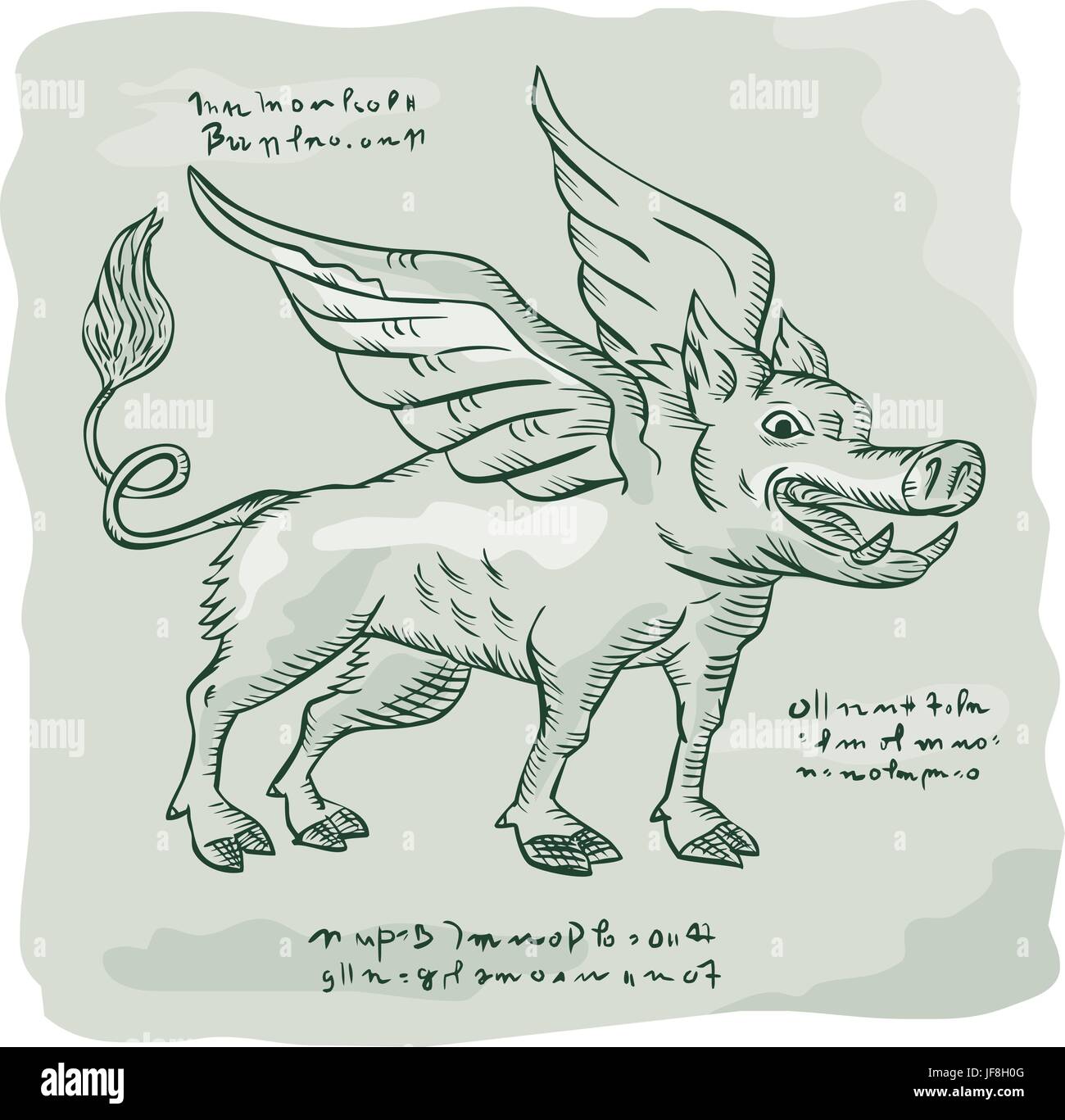 Winged Wild Boar Wings Side Etching Stock Vector Image & Art - Alamy