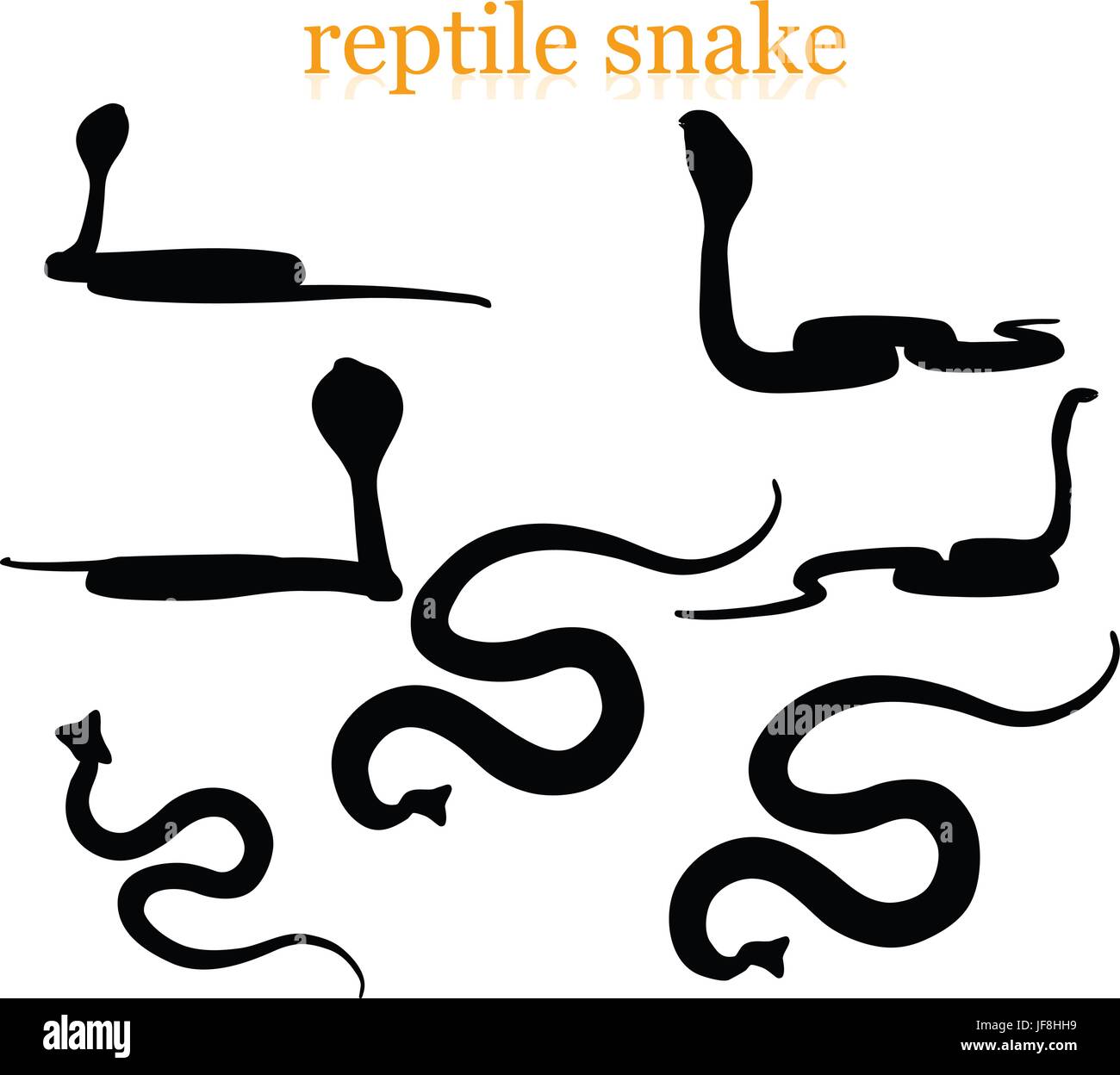 Snake model Stock Vector Images - Alamy