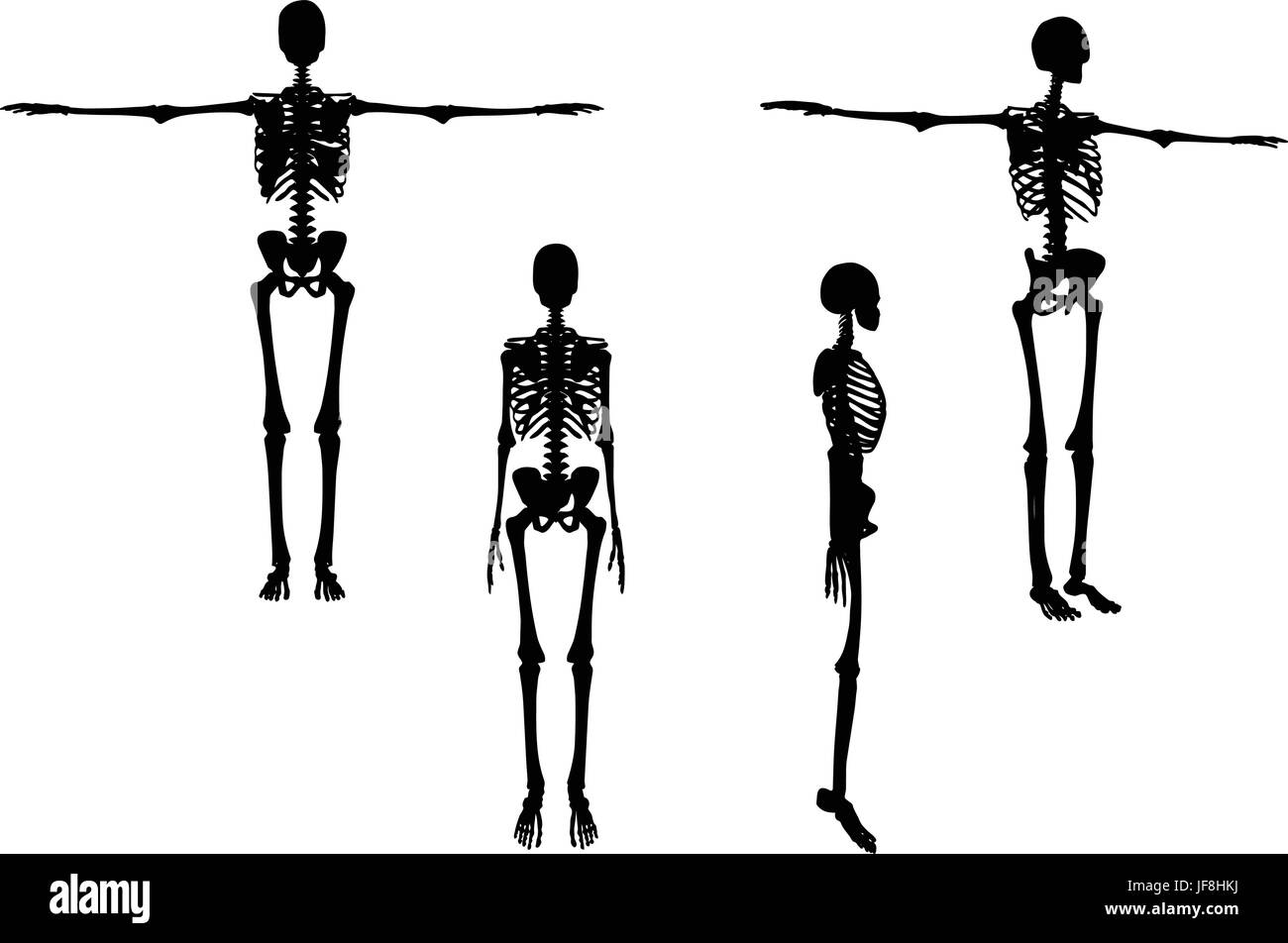 skeleton silhouette in default pose Stock Vector Image & Art - Alamy
